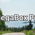 BandwagonHost 搬瓦工 BiggerBox Pro 和 MegaBox Pro 限量版套餐介绍和对比 - 搬瓦工中文笔记-搬瓦工中文笔记